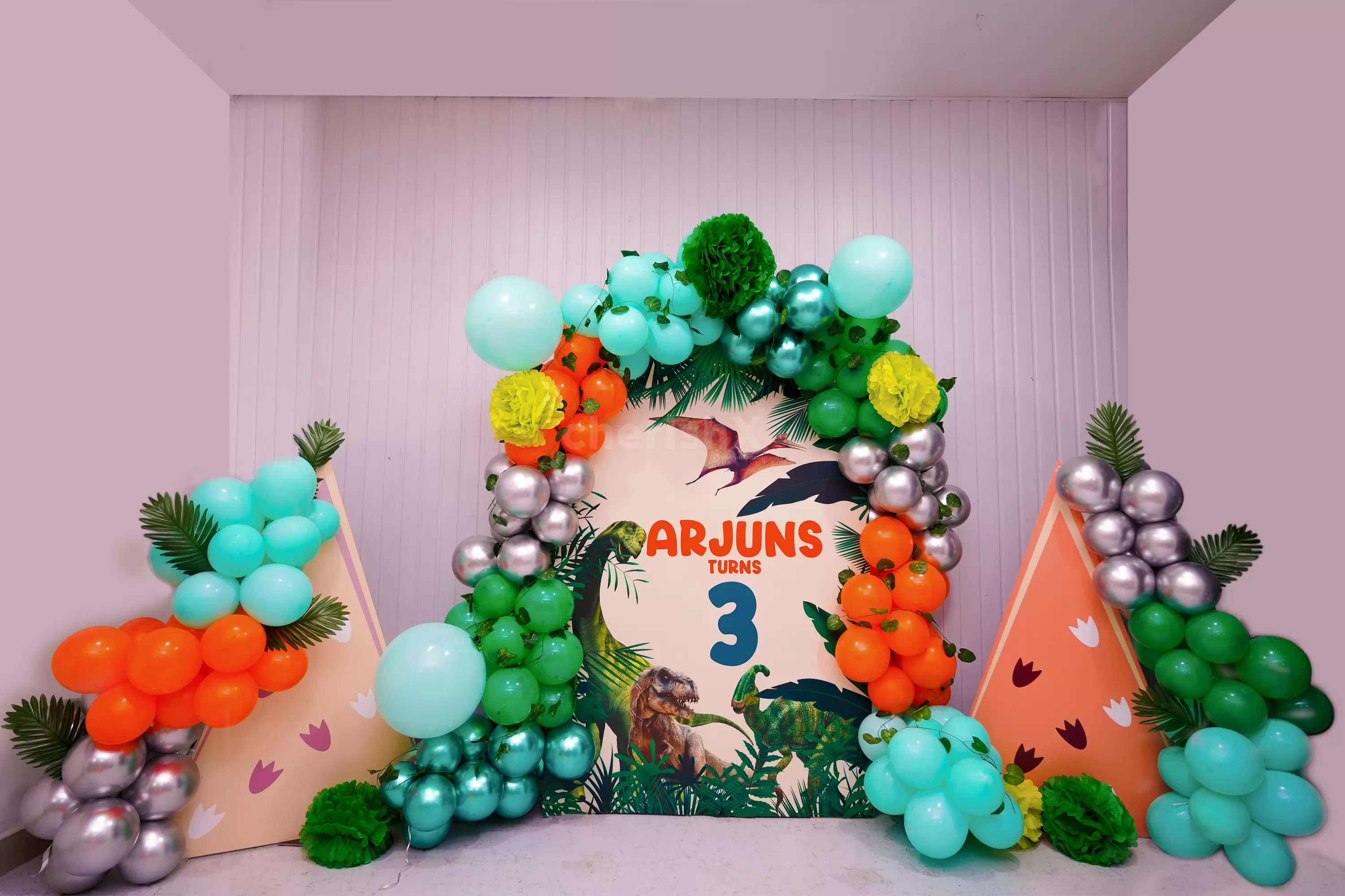 Dinosaur Themed Birthday Party Decorations | Shelly Lighting